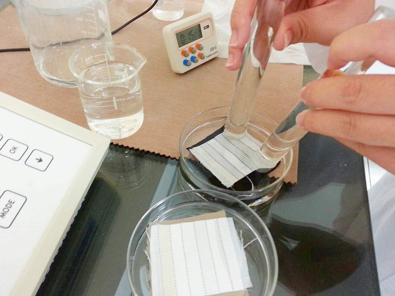 10-facts at emaze Presentation