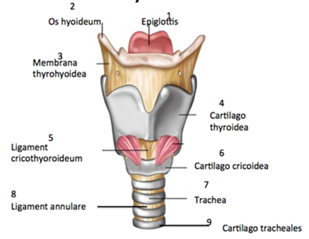 Heesheid MS Week 2 SO1 at emaze Presentation