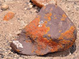 Presentation Name at emaze Presentation