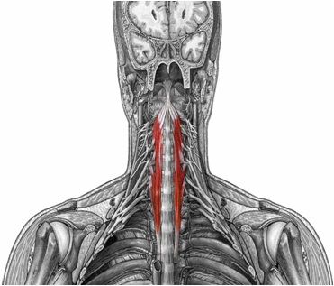 Presentation Name on emaze