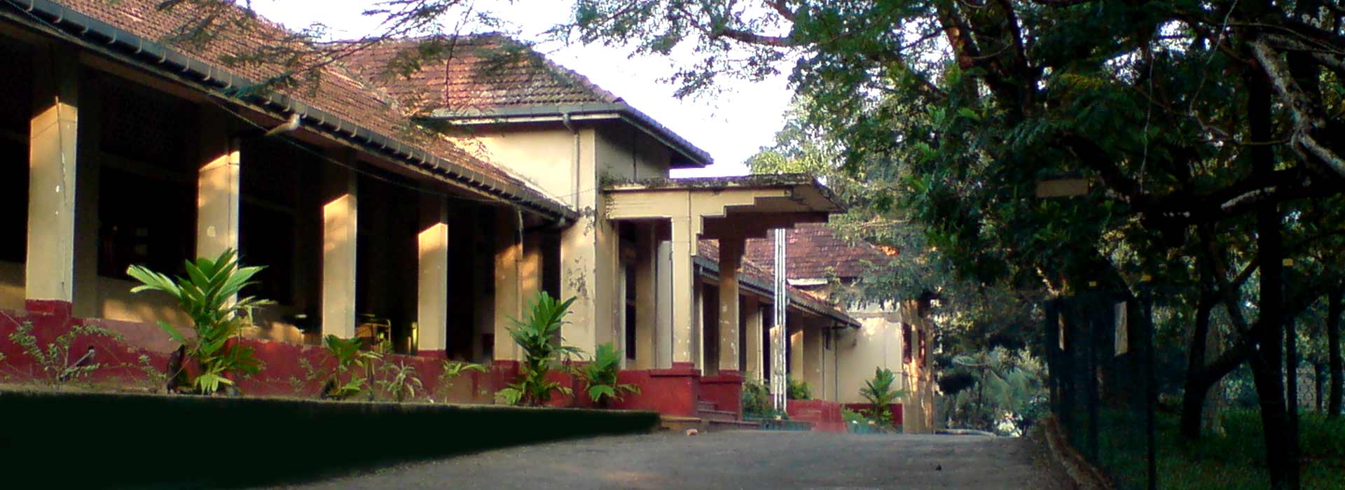 Pannipitiya at emaze Presentation