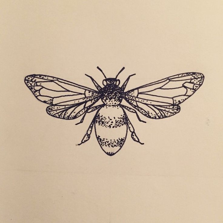 Space at emaze Presentation