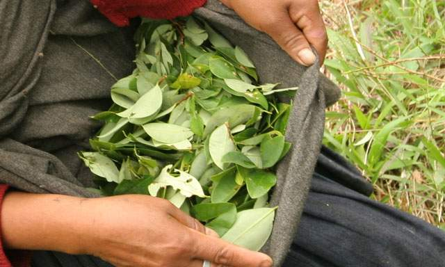 COMO HABLA LA COCA on emaze