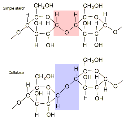Unit1& 2 Chemistry of Life and Biochemistry Review.pptx on emaze
