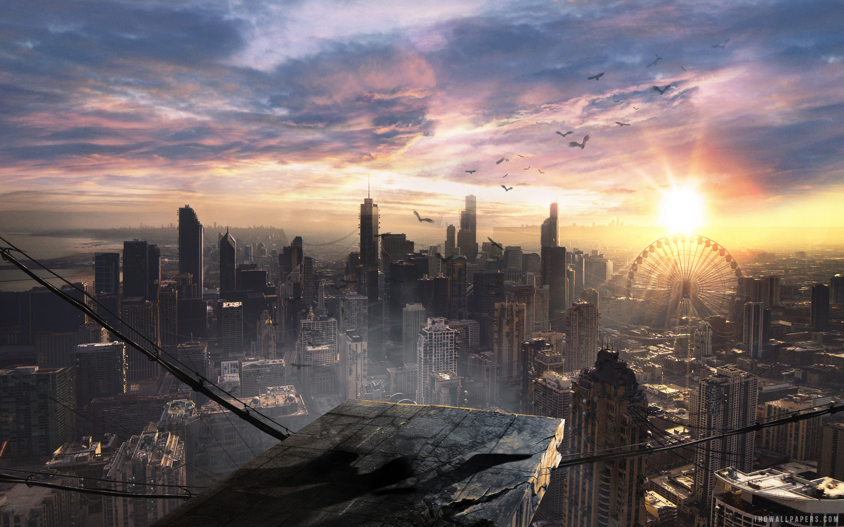 Divergent at emaze Presentation