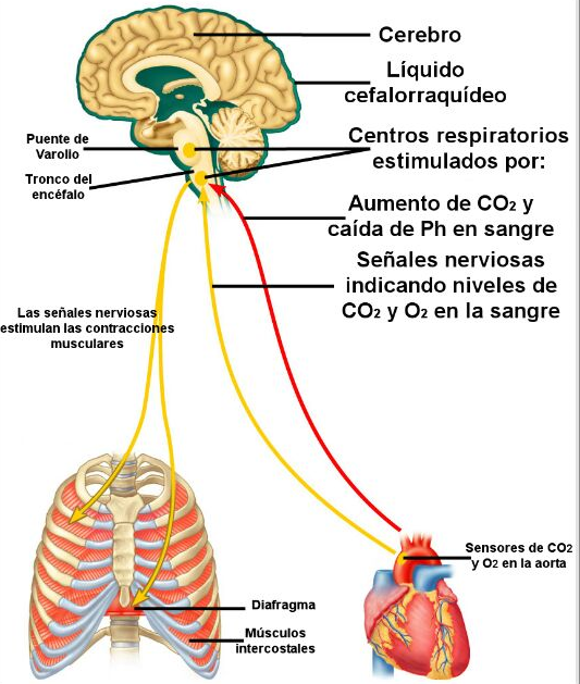 El sistema on emaze