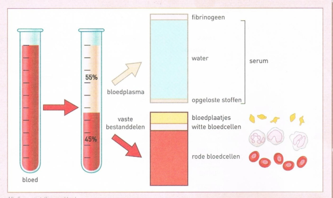 Presentation Name on emaze