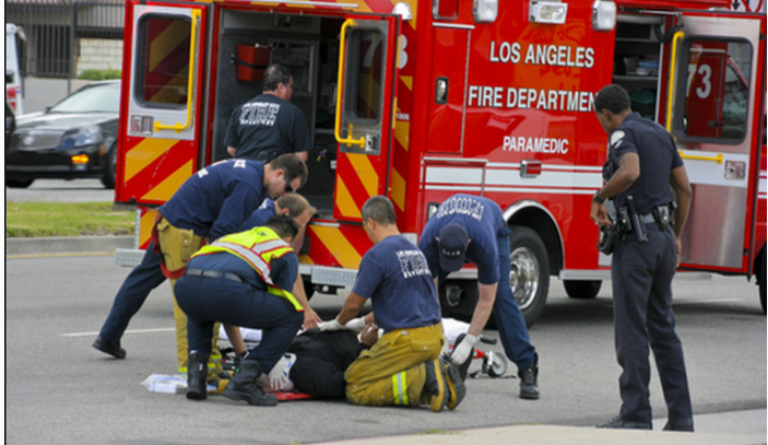 LAFD ECG Project at emaze Presentation