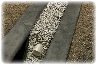 diapositivas vias 2.pptx on emaze