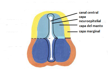 Presentation Name on emaze