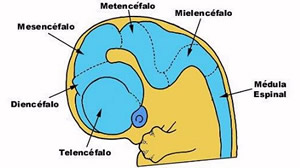 Presentation Name on emaze