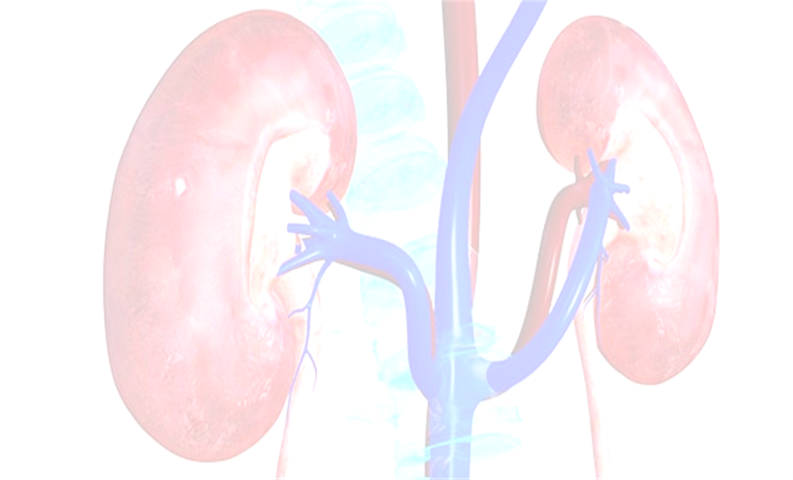 Limitless at emaze Presentation