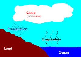 Water Cycle on emaze