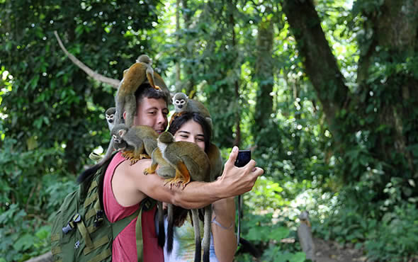 La selva at emaze Presentation