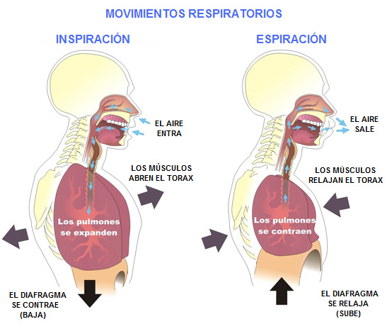 Presentation Name on emaze