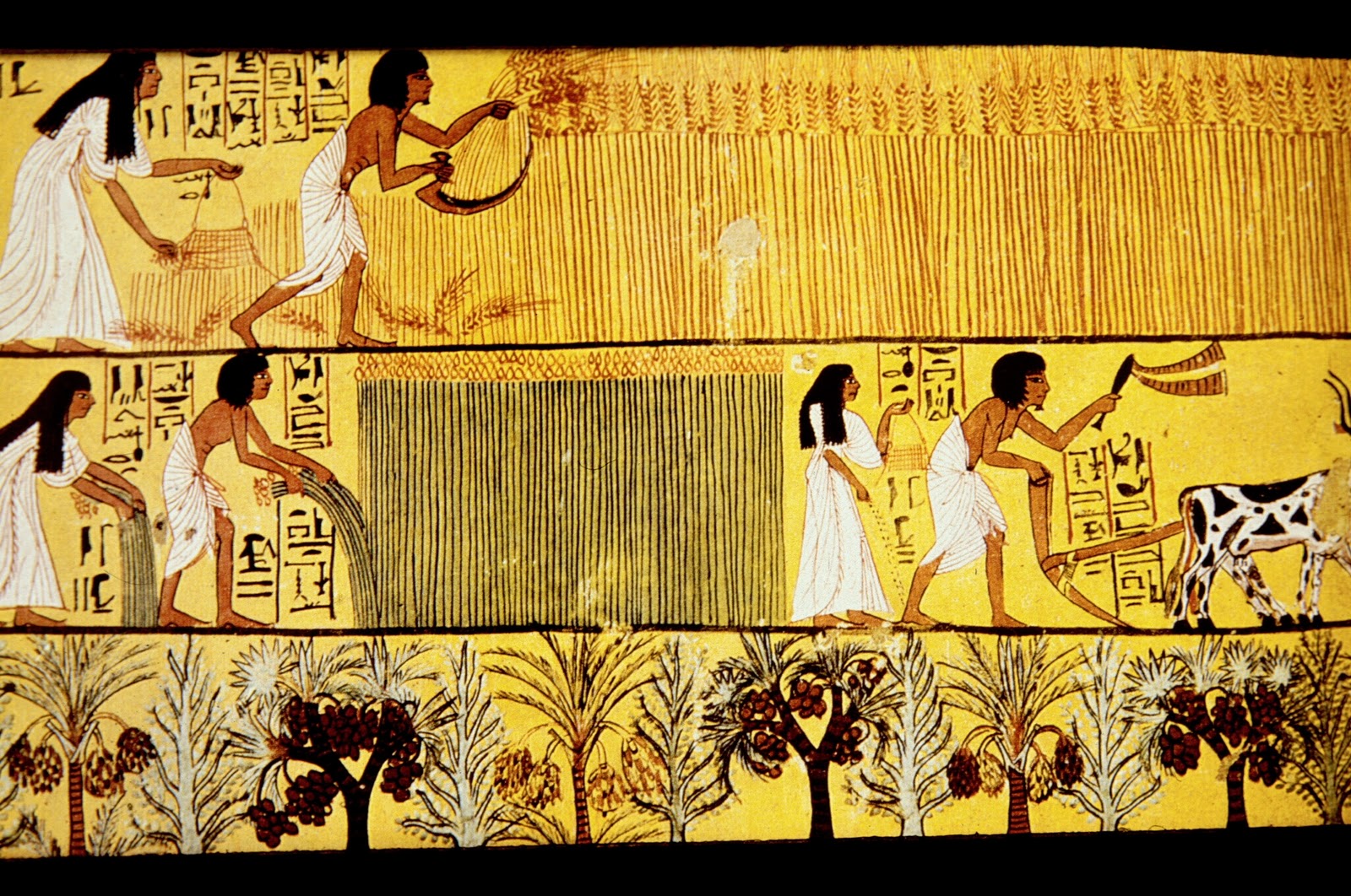 SOCIALS-egipte at emaze Presentation