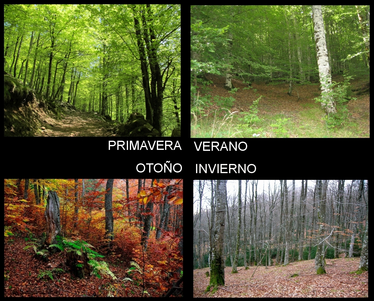 Climas Geografía on emaze