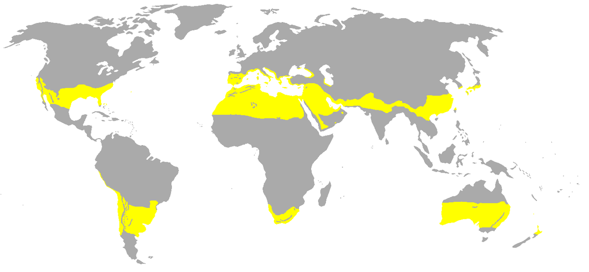 Climas Geografía on emaze