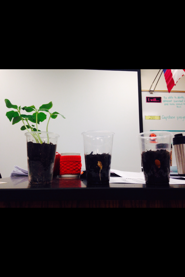 science at emaze Presentation