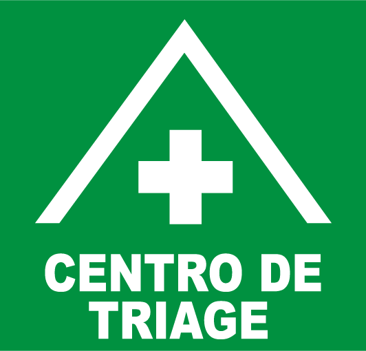 TRIAGE at emaze Presentation