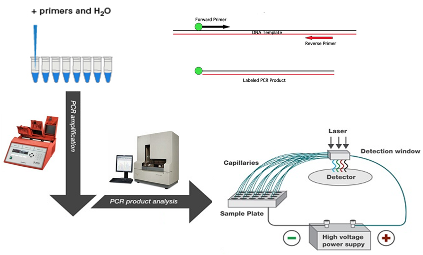 Better tests Better care on emaze