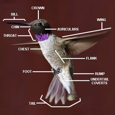 Presentation Name at emaze Presentation