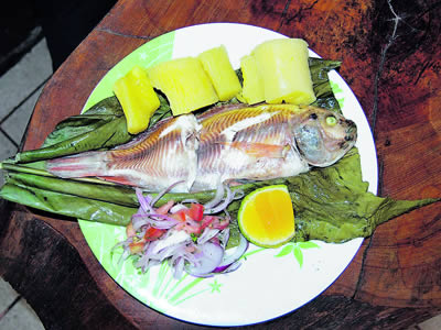 PLATOS TÍPICOS DEL ORIENTE ECUATORIANO on emaze