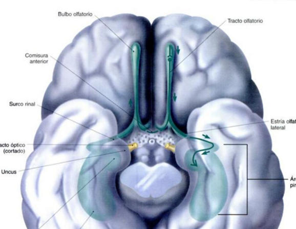 Presentation Name at emaze Presentation