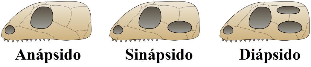 BIOLOGÍA EXPO on emaze