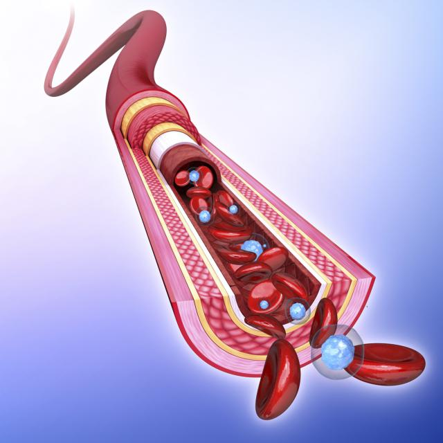 INOTROPICOS copy1 at emaze Presentation