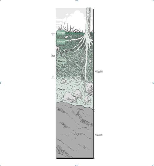 GEOLOGY on emaze