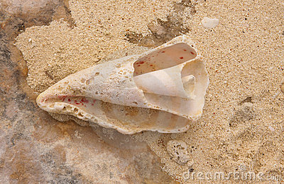 Texas History Project - Matilda Lockhart on emaze