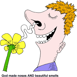 Trasornos del olfato. at emaze Presentation