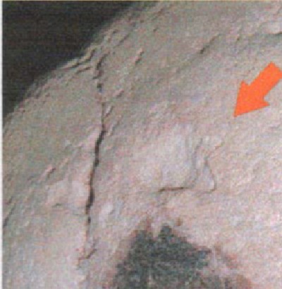 Narrabeen Man at emaze Presentation