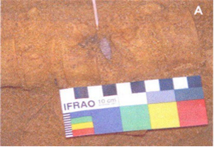 Narrabeen Man at emaze Presentation