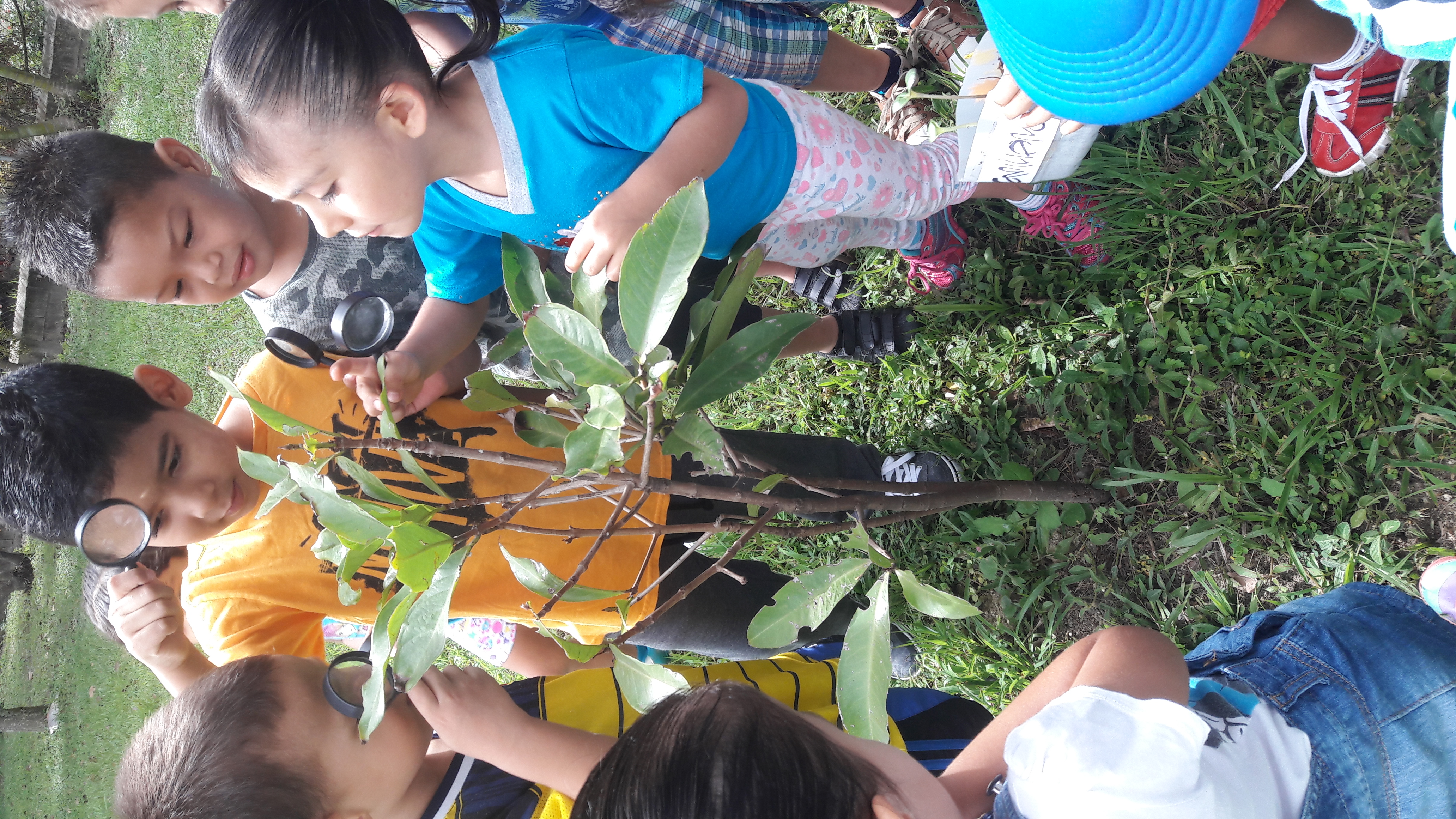 Mundo sano, Vida sana at emaze Presentation