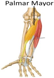 Presentation Name on emaze