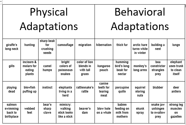 adaptations on emaze