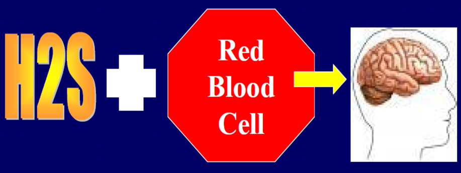 H2S Awareness on emaze