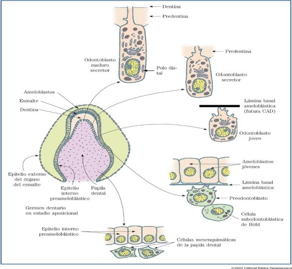Untitled at emaze Presentation