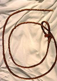 Tollund Man Compared to Narrabeen Man on emaze