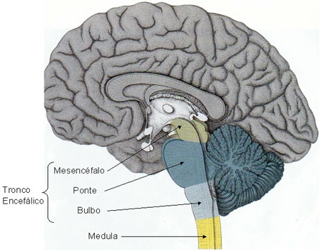 Protuberancia on emaze
