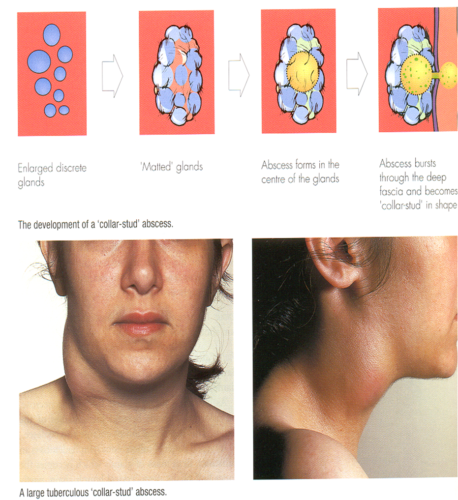 Presentation Name on emaze