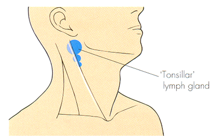 Presentation Name on emaze