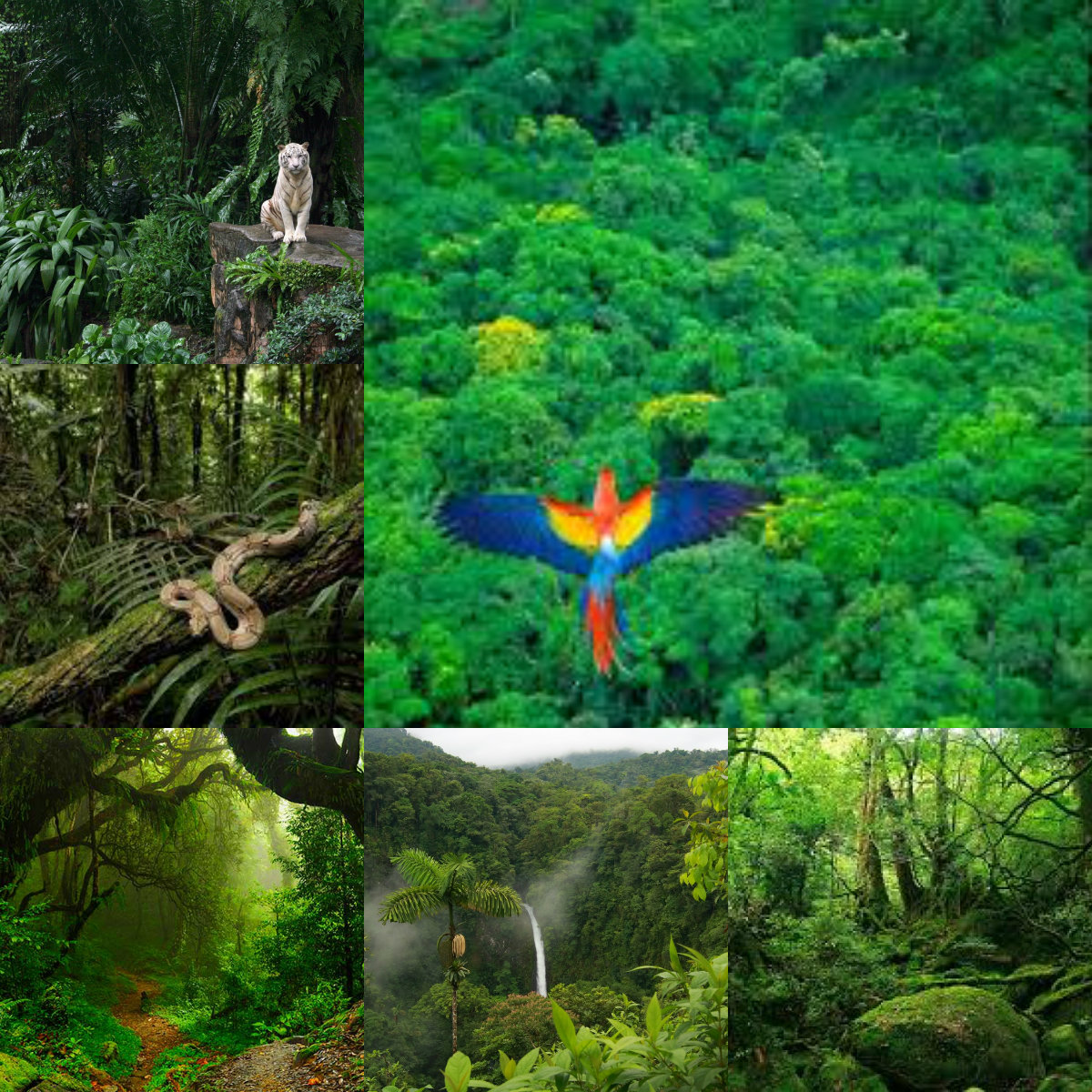 Presentation Name on emaze