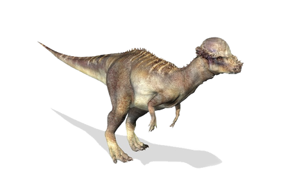 Dinosaur species at emaze Presentation
