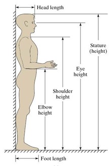 human Factor at emaze Presentation