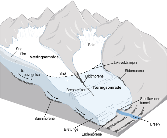 Presentation Name on emaze