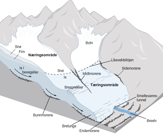 Presentation Name on emaze