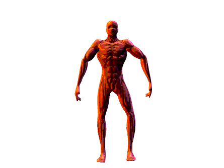 El cuerpo humano copy1 at emaze Presentation